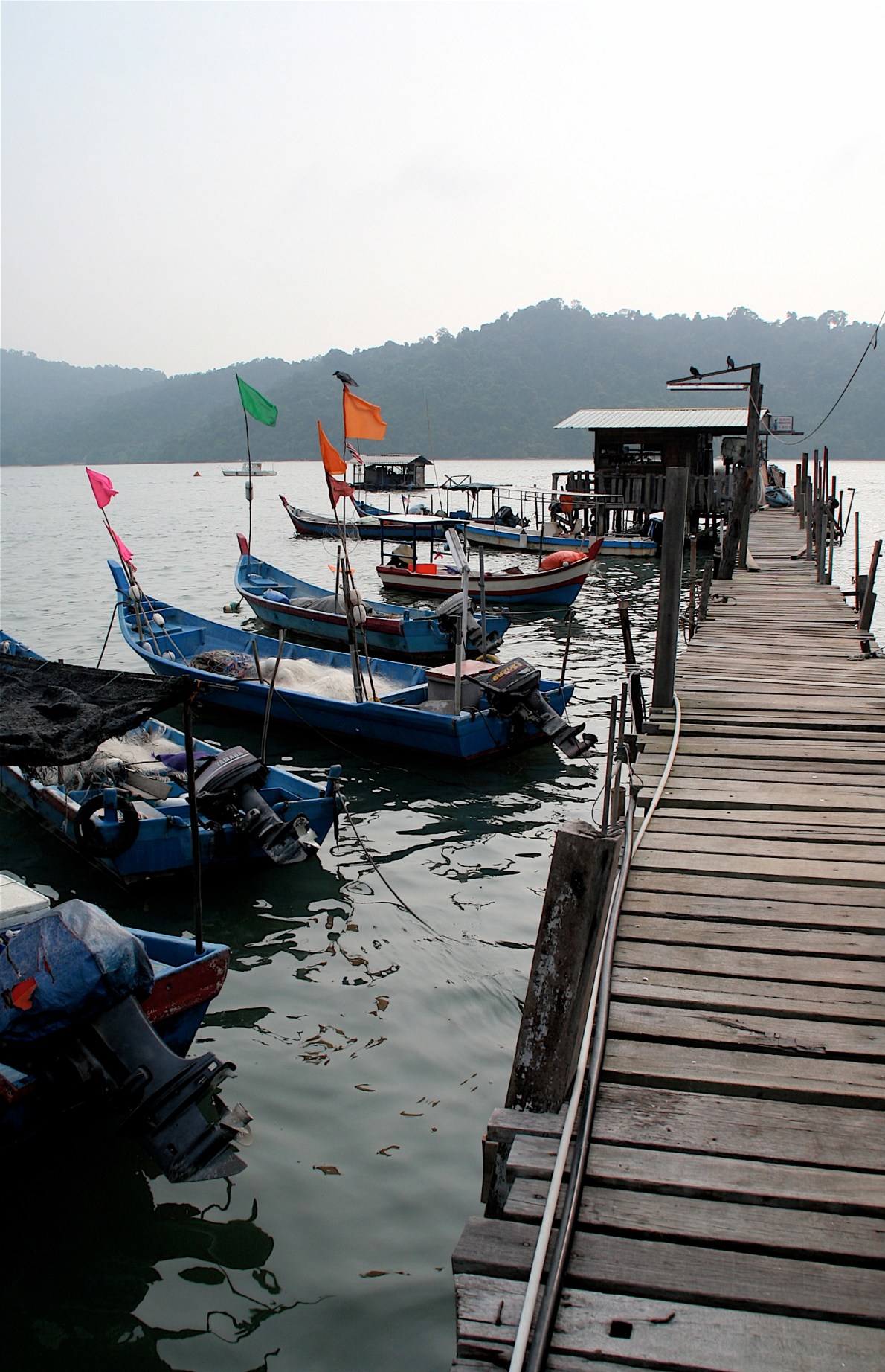 Penang | Thin Slicing the World